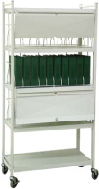 Locking Mobile Chart Rack Workhorse Series 40-Space HIPAA Privacy Model ...